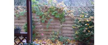 Płoty panelowe - panele ogrodzeniowe drewniane